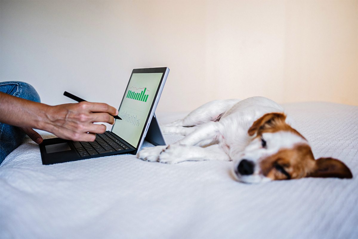 Mark Your Territory in the Pet Industry Ecosystem - UCX